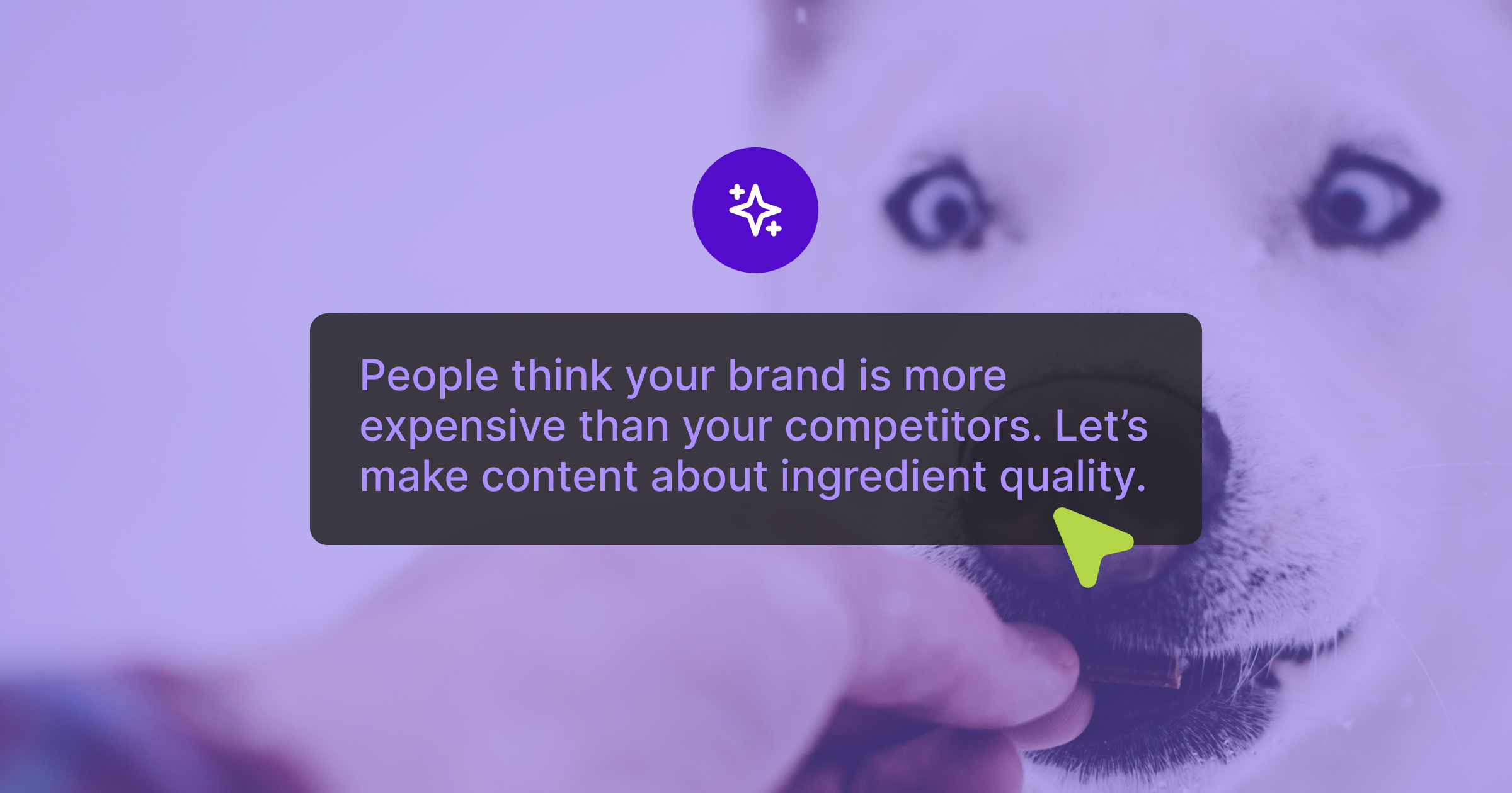 AI for Market Research | Spok